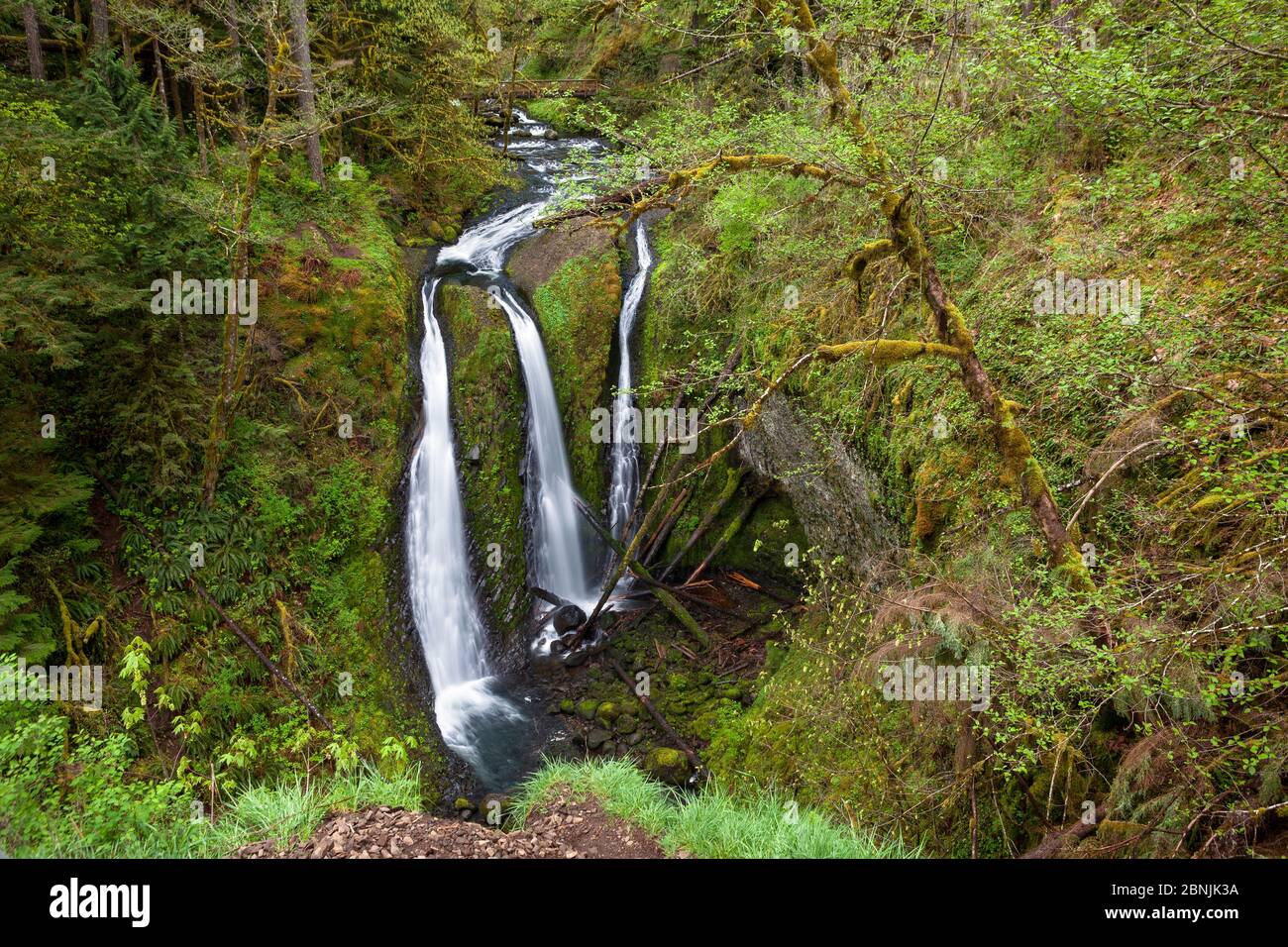 Triple Falls in Columbia River Gorge National Scenic Area, Oregon, USA ...