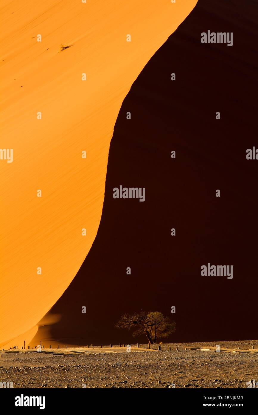 desert scene landscape Stock Photo - Alamy