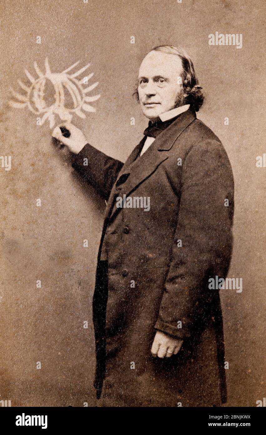 Louis agassiz hi-res stock photography and images - Alamy