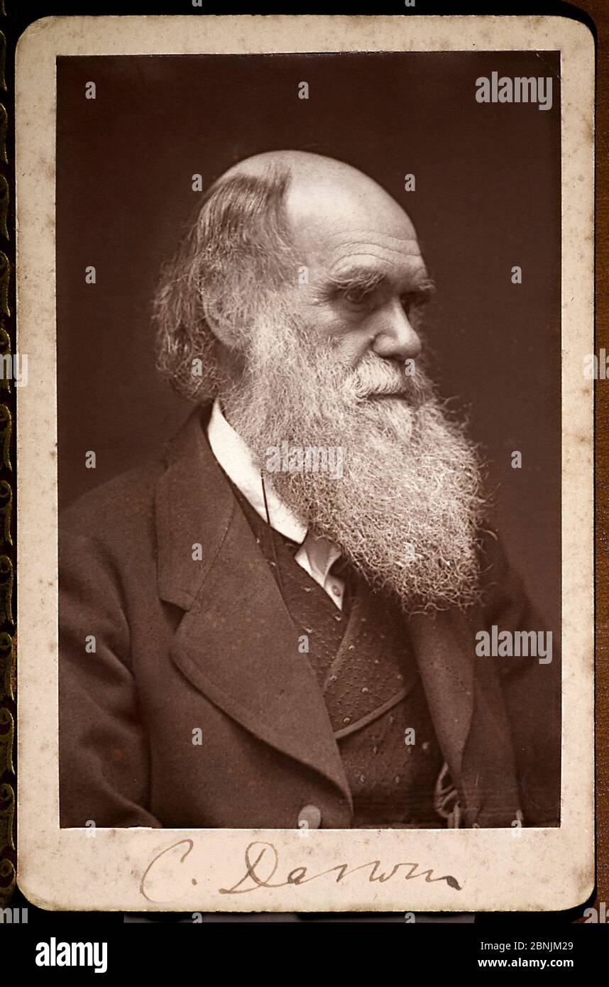 Charles darwin portrait 1874 hi-res stock photography and images - Alamy