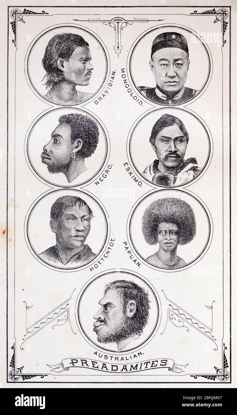 Theistic evolution hi-res stock photography and images - Alamy