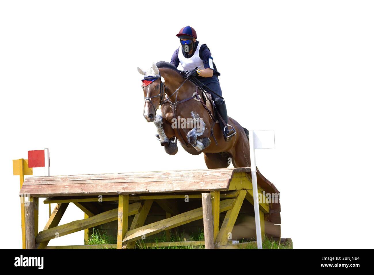 Eventing: equestrian rider jumping over an obstacle. Isolated on white ...