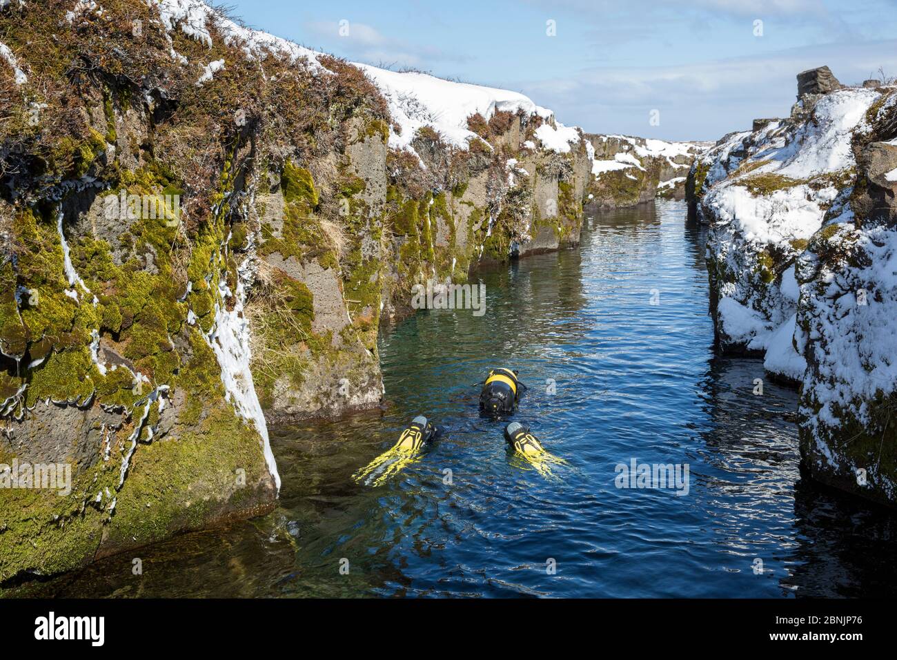 Scuba diver inside the volcanic crack Nesgja, in the Asbyrgi National ...