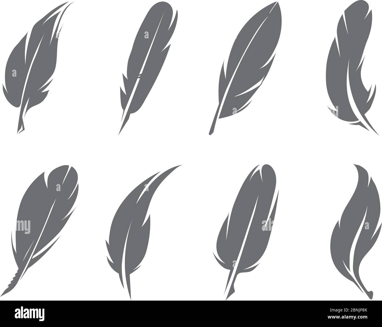 Vector illustrations of feathers Stock Vector Image & Art - Alamy