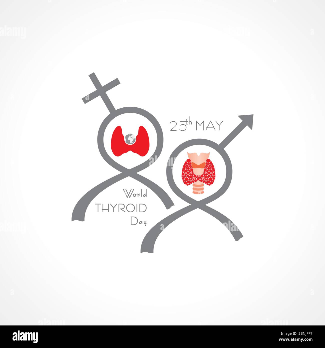 Vector illustration for World Thyroid Day which is held on 25 may. Can ...