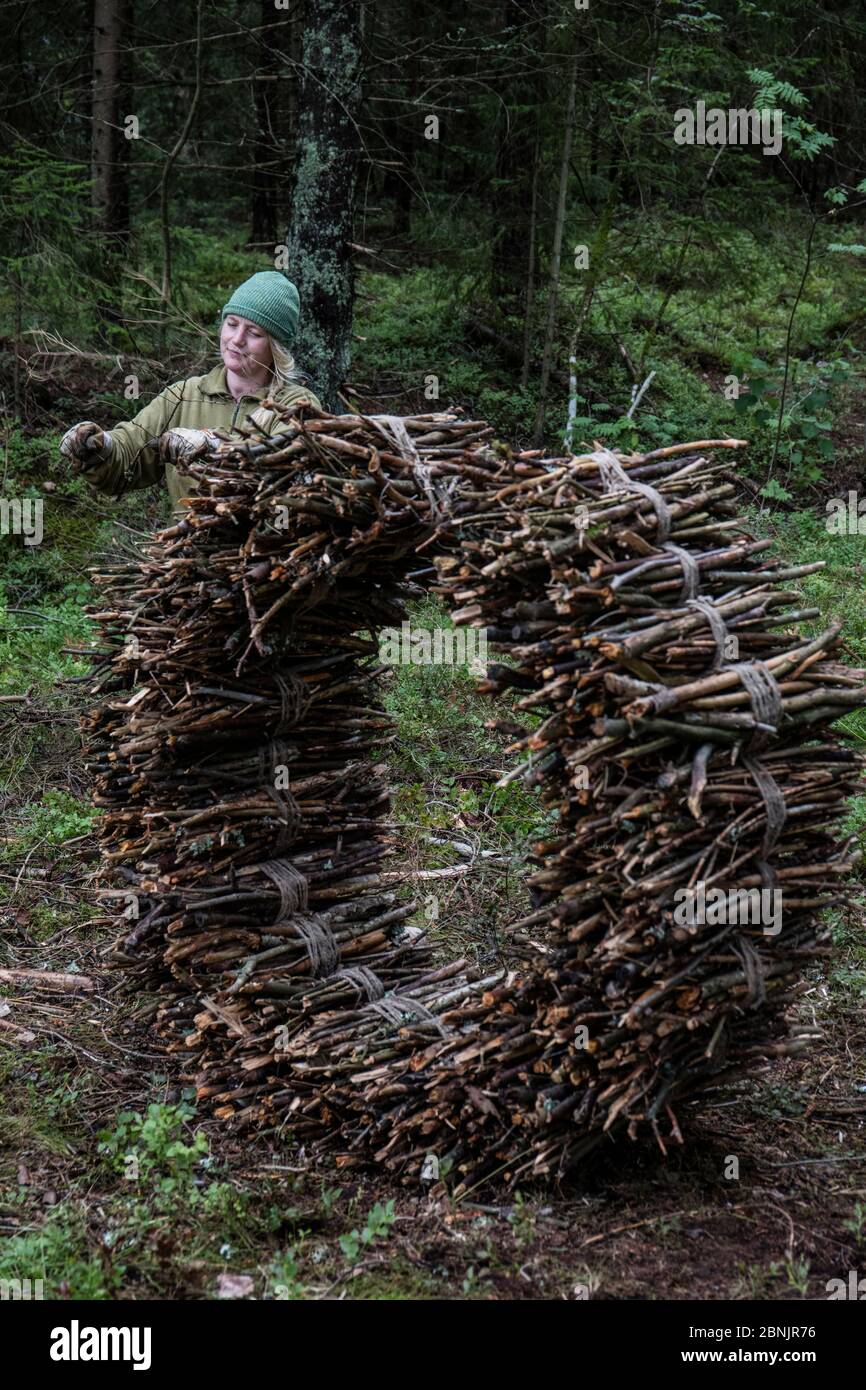 Artist preparing a circle of branches and 'found objects' for bio ...