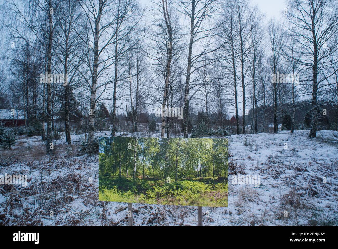 Summer winter comparison hi-res stock photography and images - Alamy