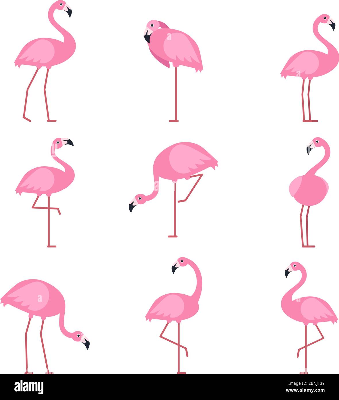 Flamingo cartoon illustration hi-res stock photography and images - Alamy