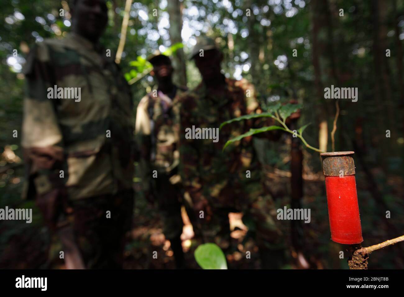 Anti-poaching patrol from the Aspinal Foundation with gun cartridge ...