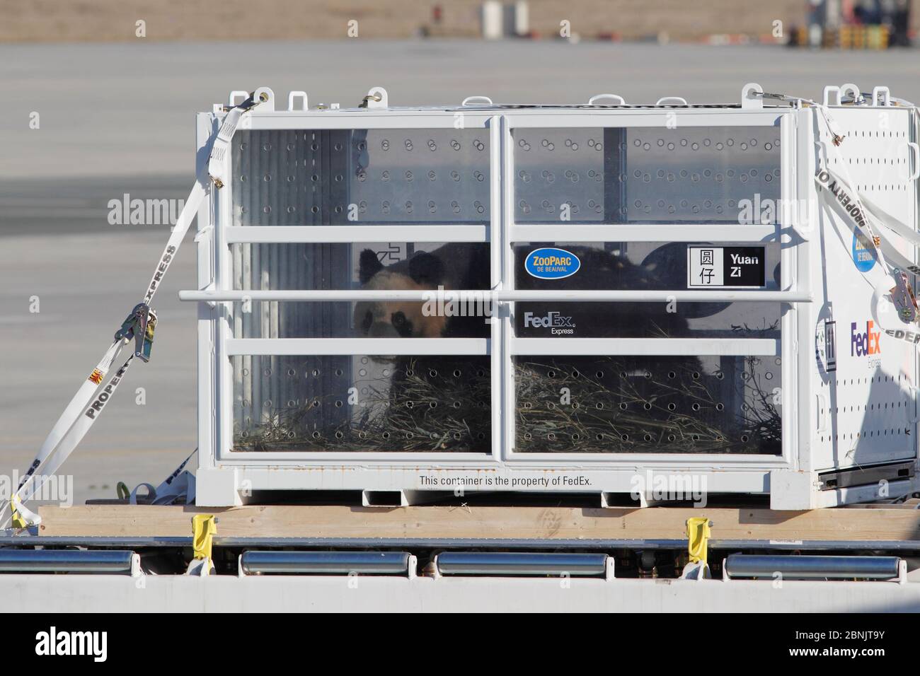 Panda express hi-res stock photography and images - Alamy