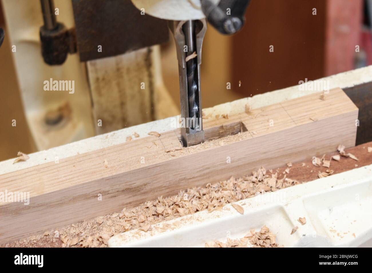 Cutting mortises in oak on a mortising machine, oak mortise Stock Photo ...
