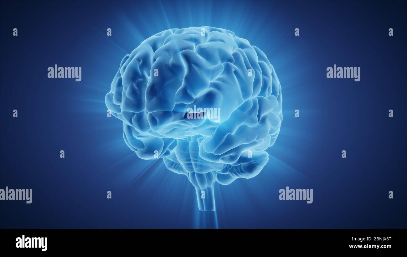 3d illustration human brain with convolutions and a radiance of light ...