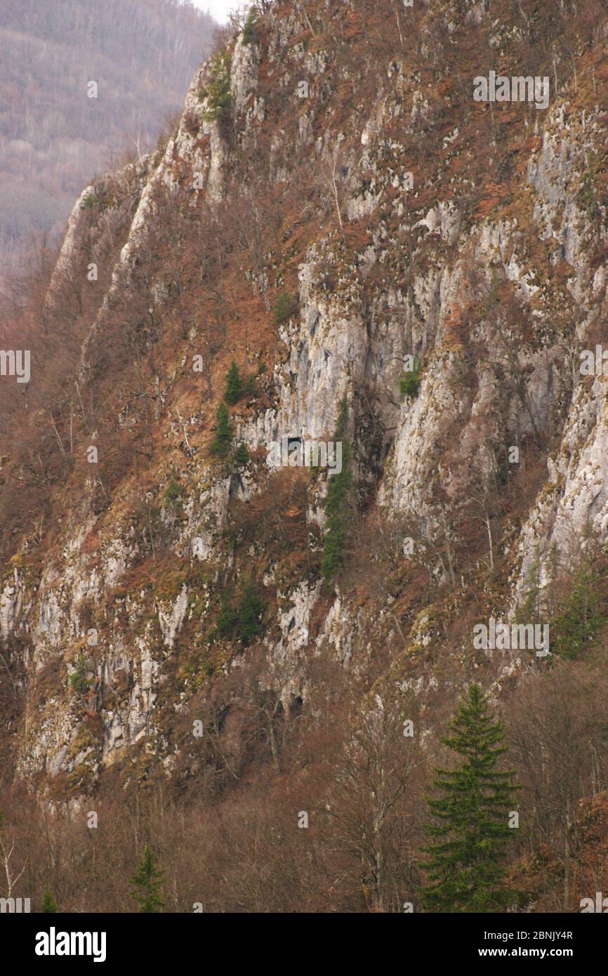 Cheile varghisului hi-res stock photography and images - Alamy