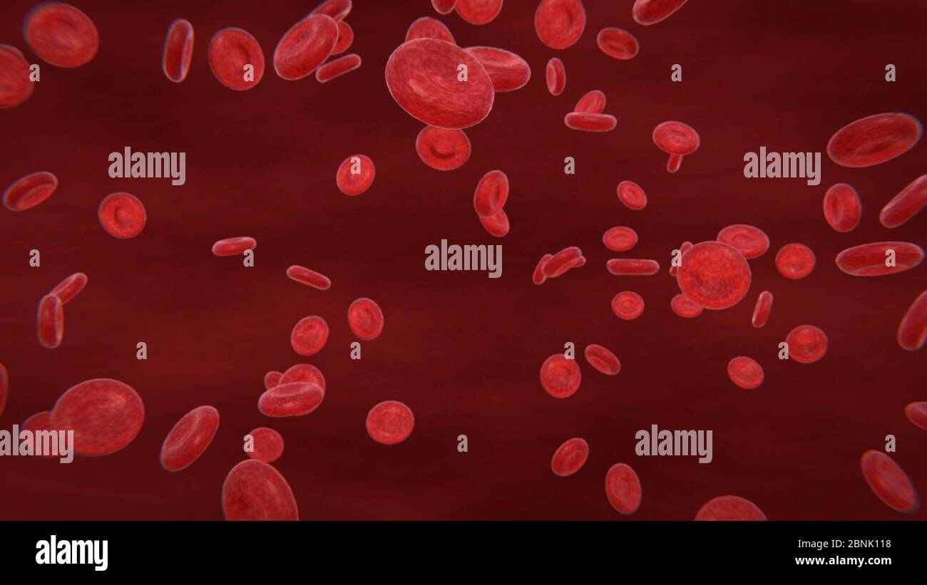 3d illustration blood structure. red blood cell, erythrocytes and ...