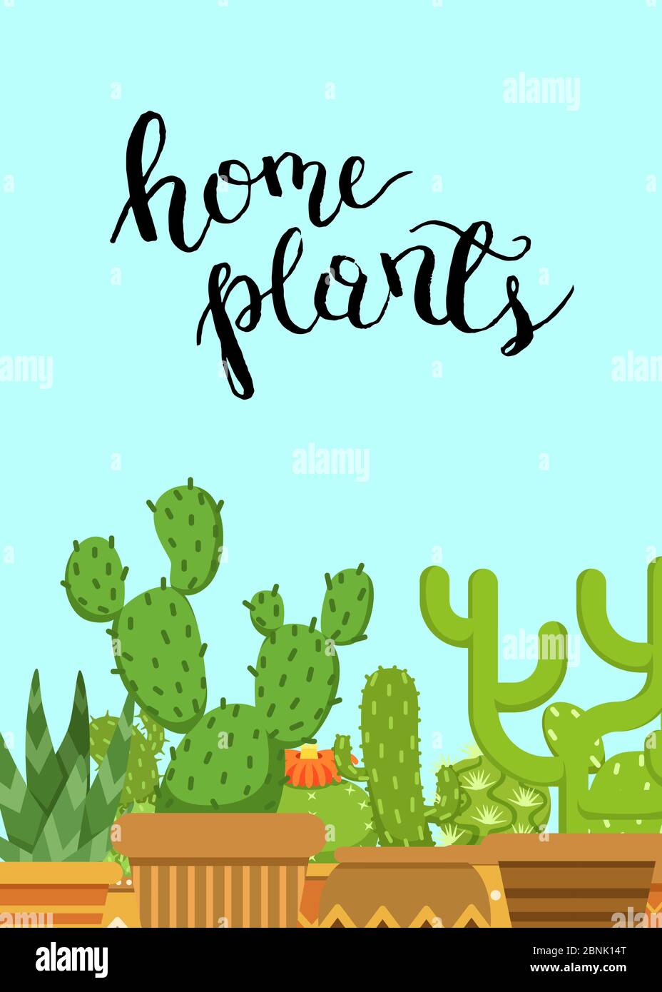 Vector illustration with cacti in pots in flat style with Home Plants ...