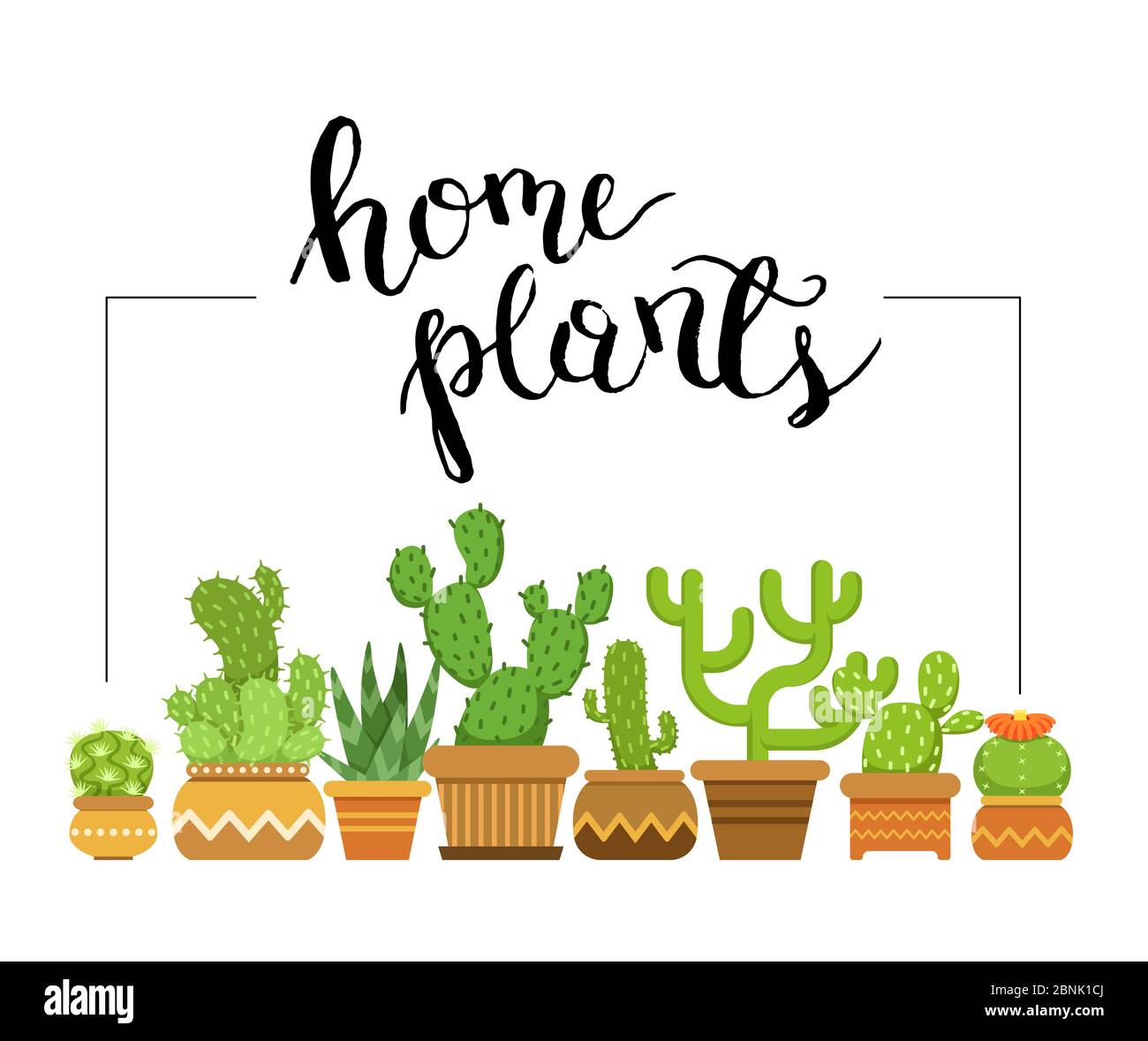 Vector home plants framed illustration with home cacti in pots Stock ...
