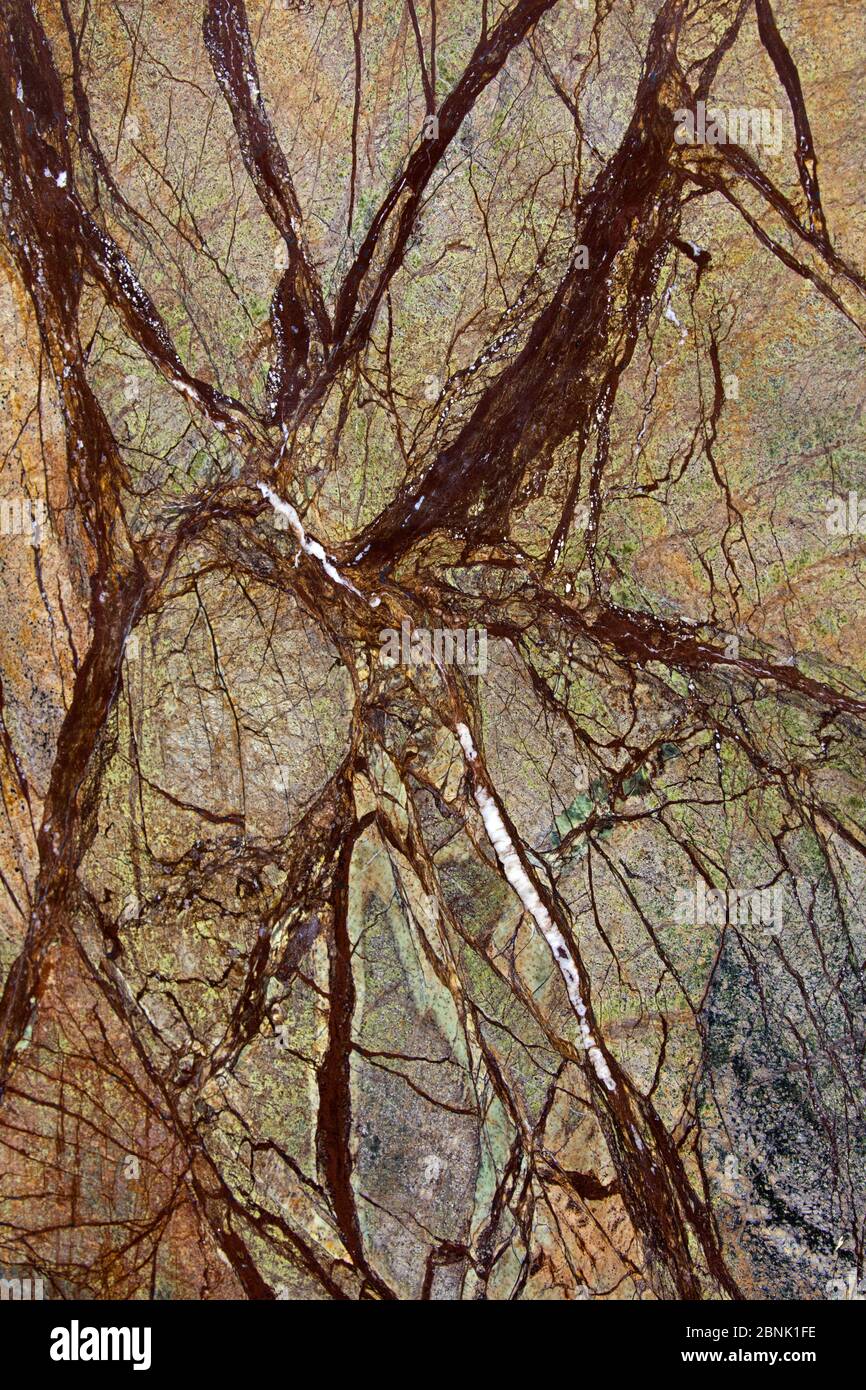 Serpentinite, 'rainforest brown' slab, India, March Stock Photo - Alamy