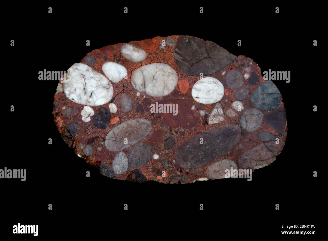 Cross section of conglomerate rock from Arizona with pebbles visible ...
