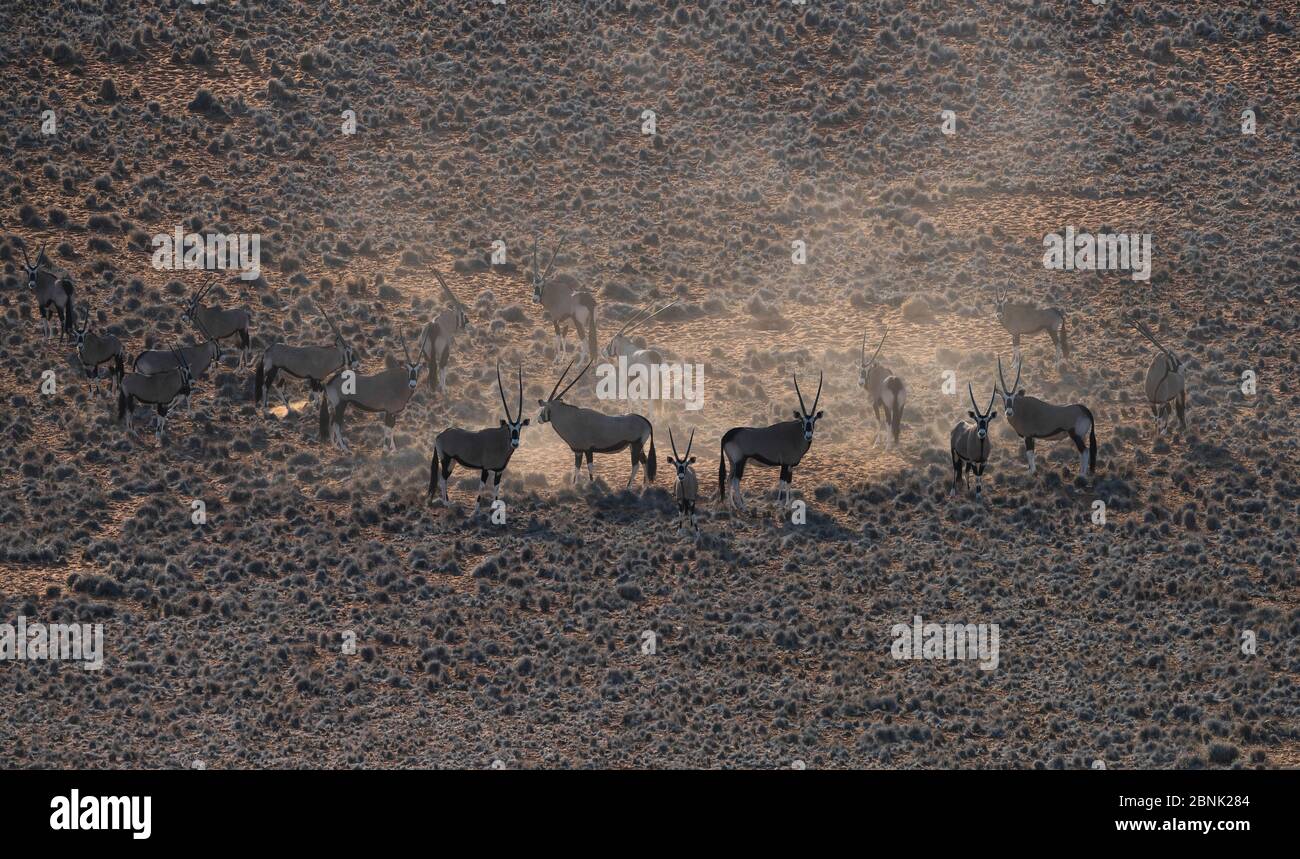 Dusty africa plain hi-res stock photography and images - Alamy