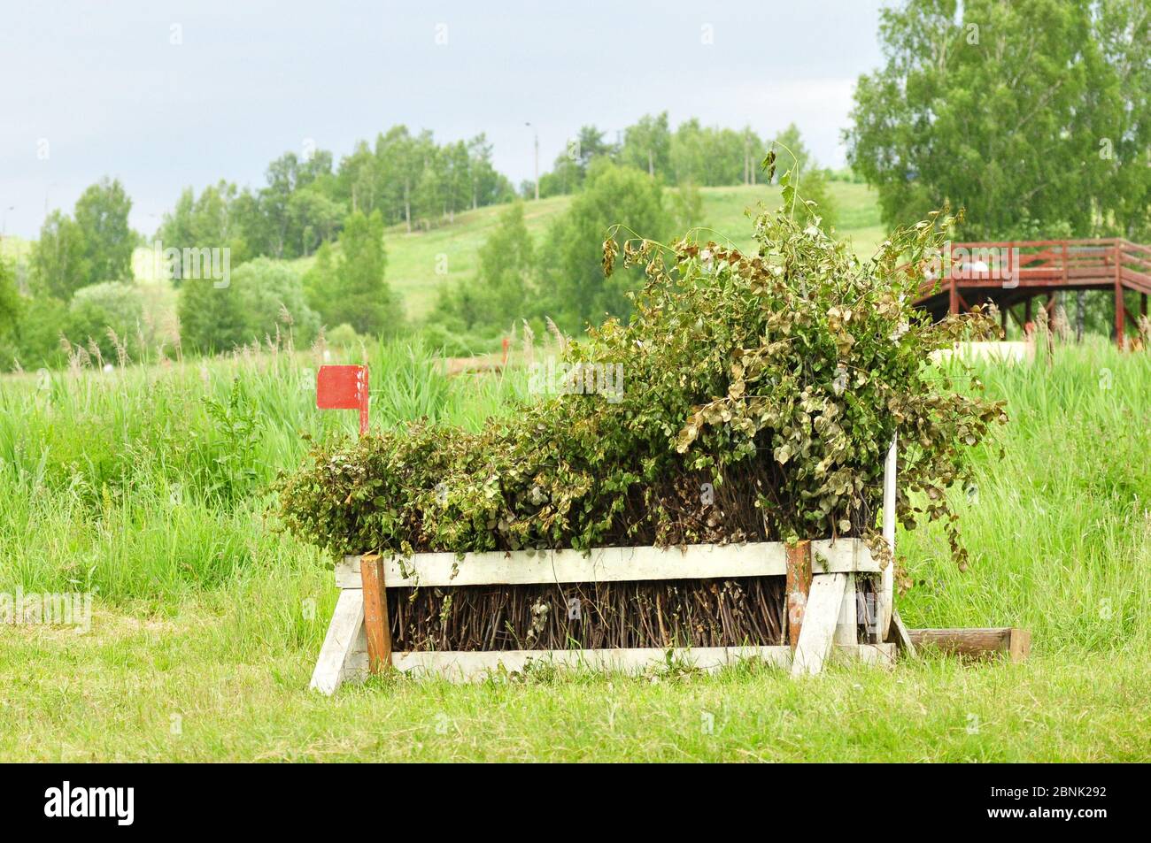 Animal sequence jump horse hi-res stock photography and images - Alamy