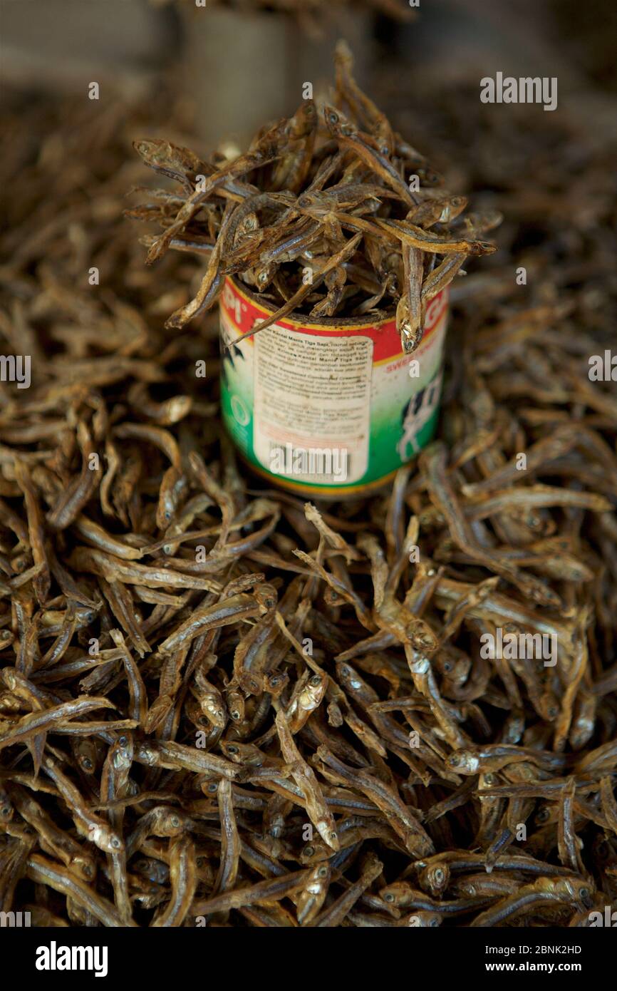 Halmahera tobelo hi-res stock photography and images - Alamy