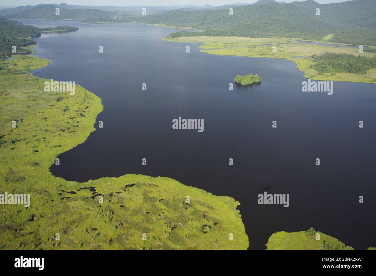 Blackwater Lake in the Sepik Basin surrounded by seasonally flooded ...