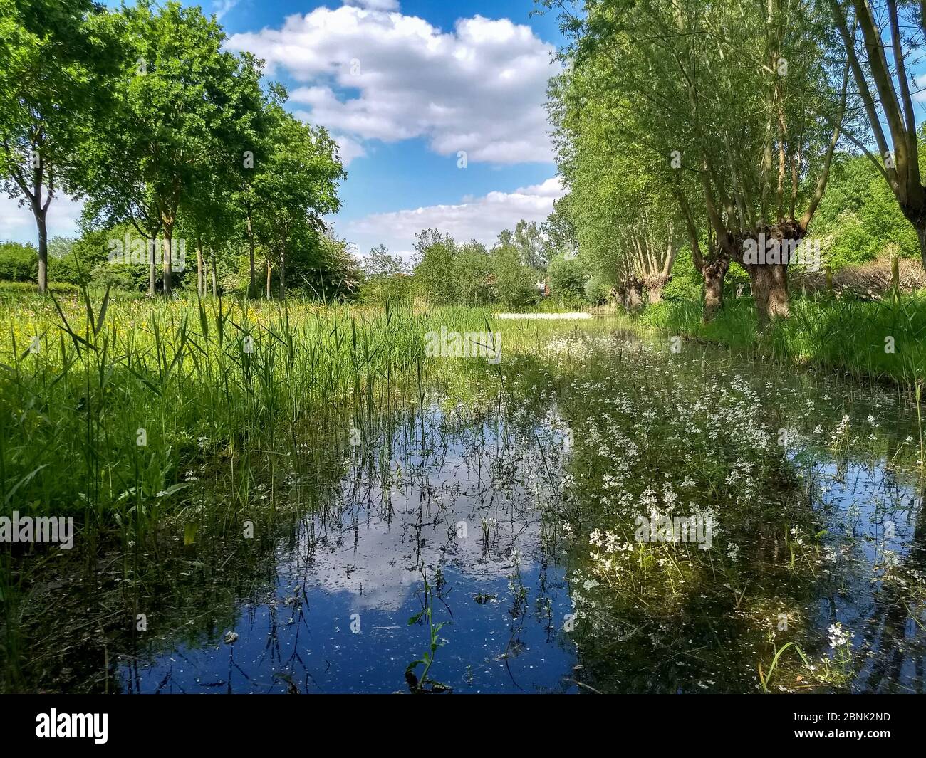 Groene long kuurne hi-res stock photography and images - Alamy