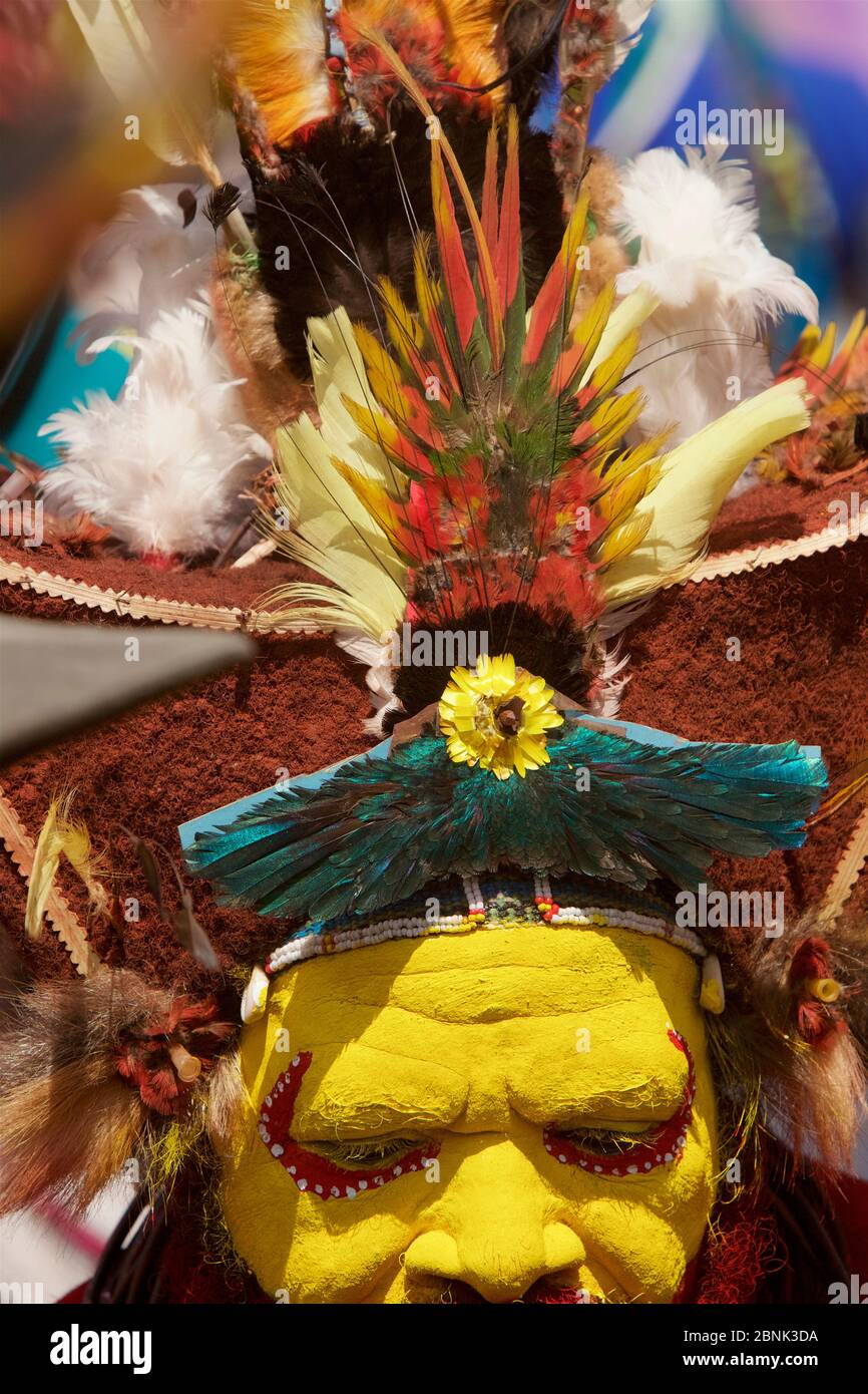 Huli 'singsing' dance ceremony. Huli wigmen wearing human hair wigs and ...