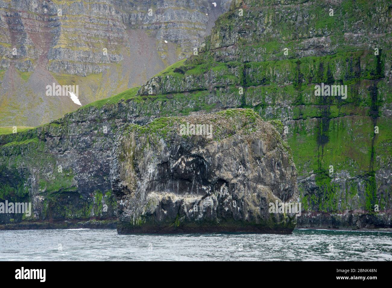 Bird nesting cliffs at Haeavikurbjarg, Hornvik, Hornstrandir, Iceland ...