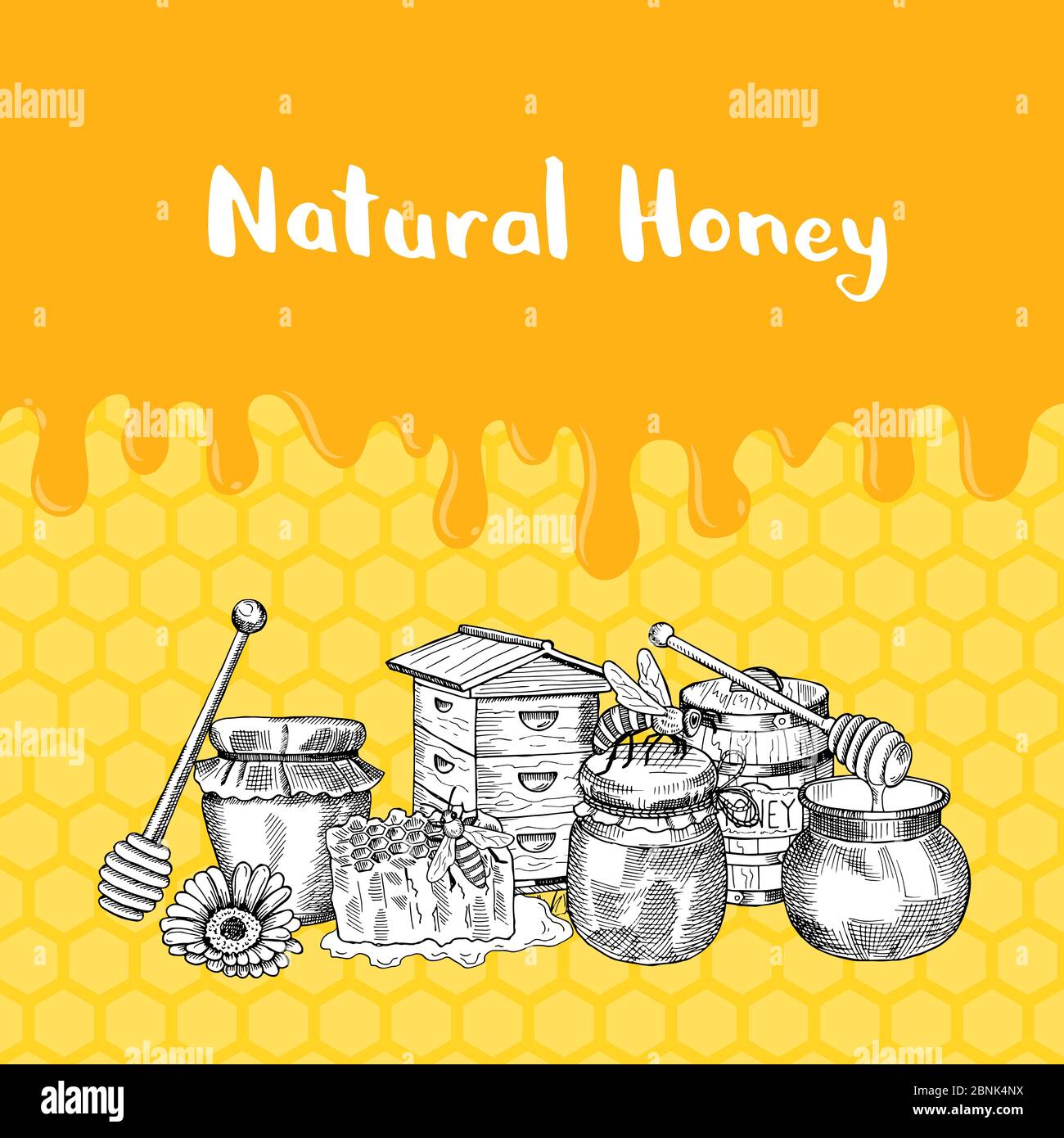 Vector illustration with honey elements, dripping honey and place for ...