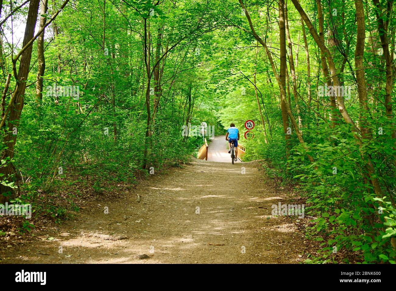 Austria, Lower Austria. Nationalpark Donau-Auen, the Lobau Stock Photo ...