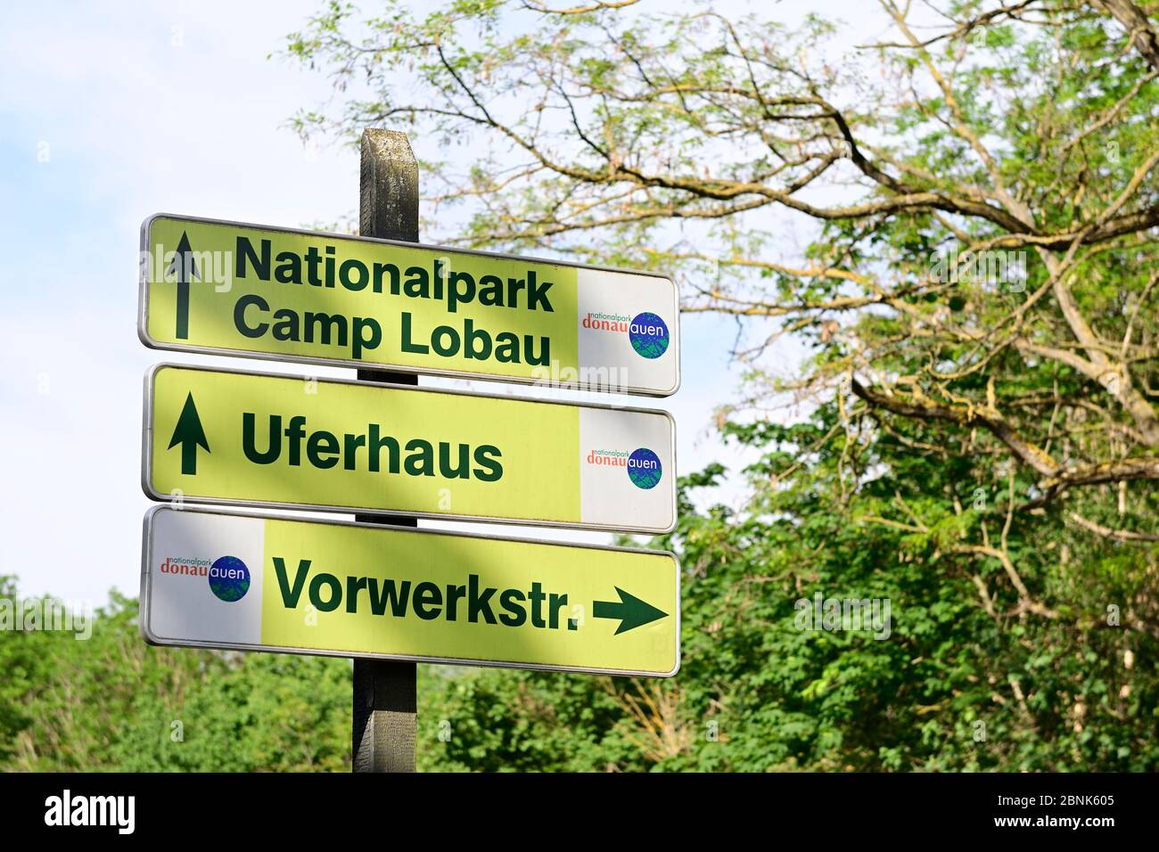 Austria, Lower Austria. Nationalpark Donau-Auen, the Lobau Stock Photo ...