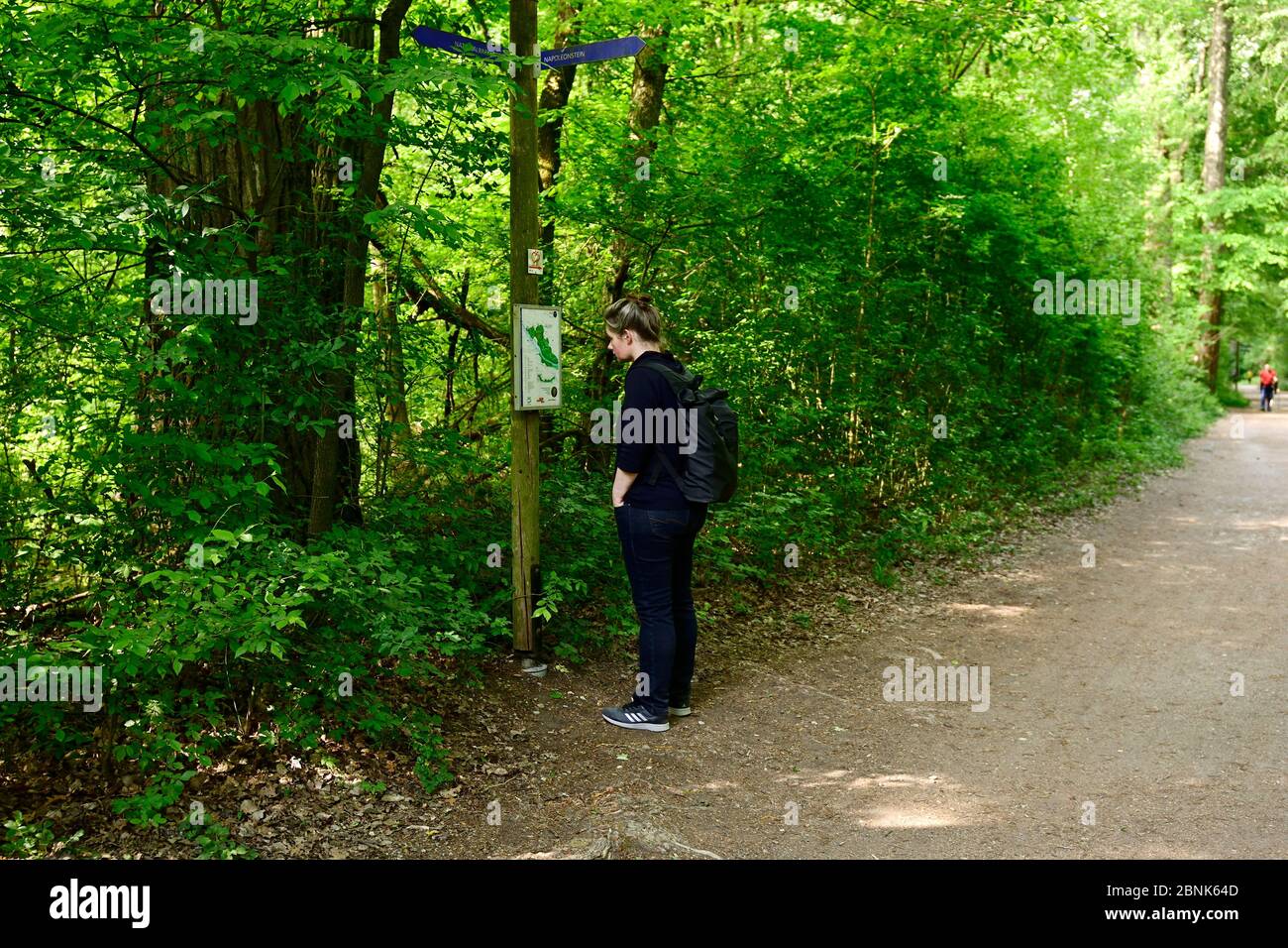 Austria, Lower Austria. Nationalpark Donau-Auen, the Lobau Stock Photo ...