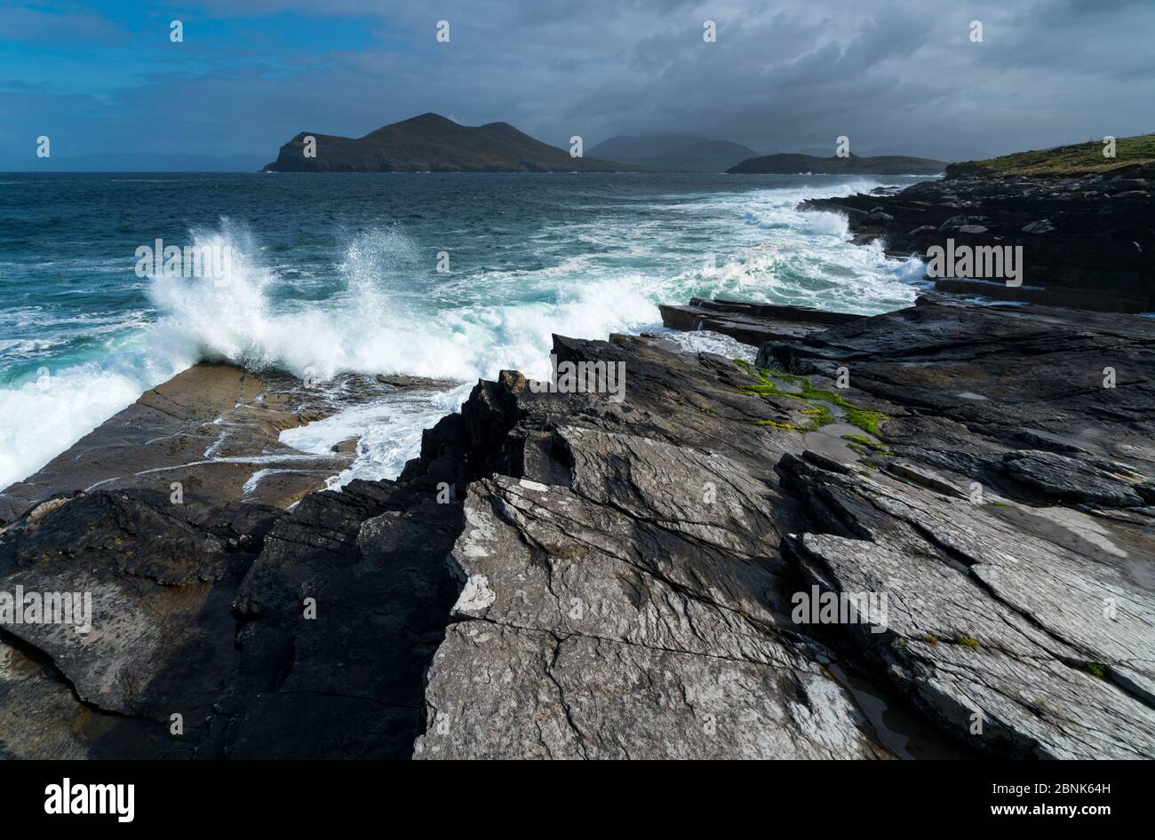 Tetrapod footprints hi-res stock photography and images - Alamy