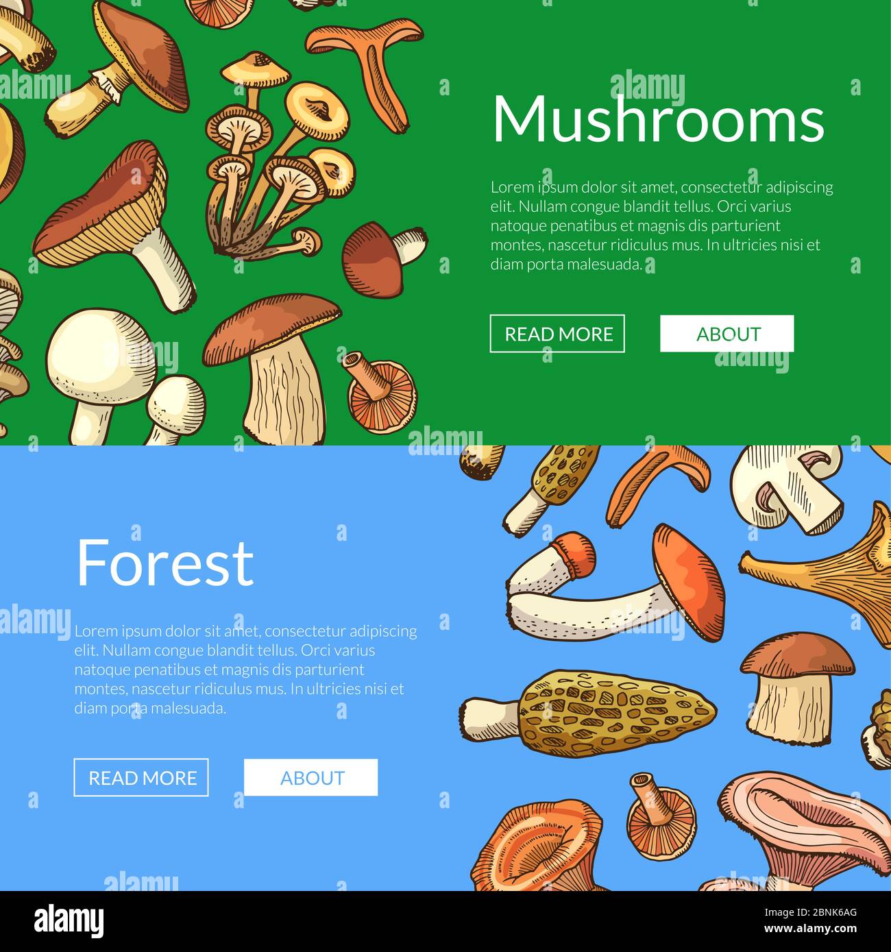 Vector hand drawn mushrooms horizontal banners Stock Vector Image & Art ...