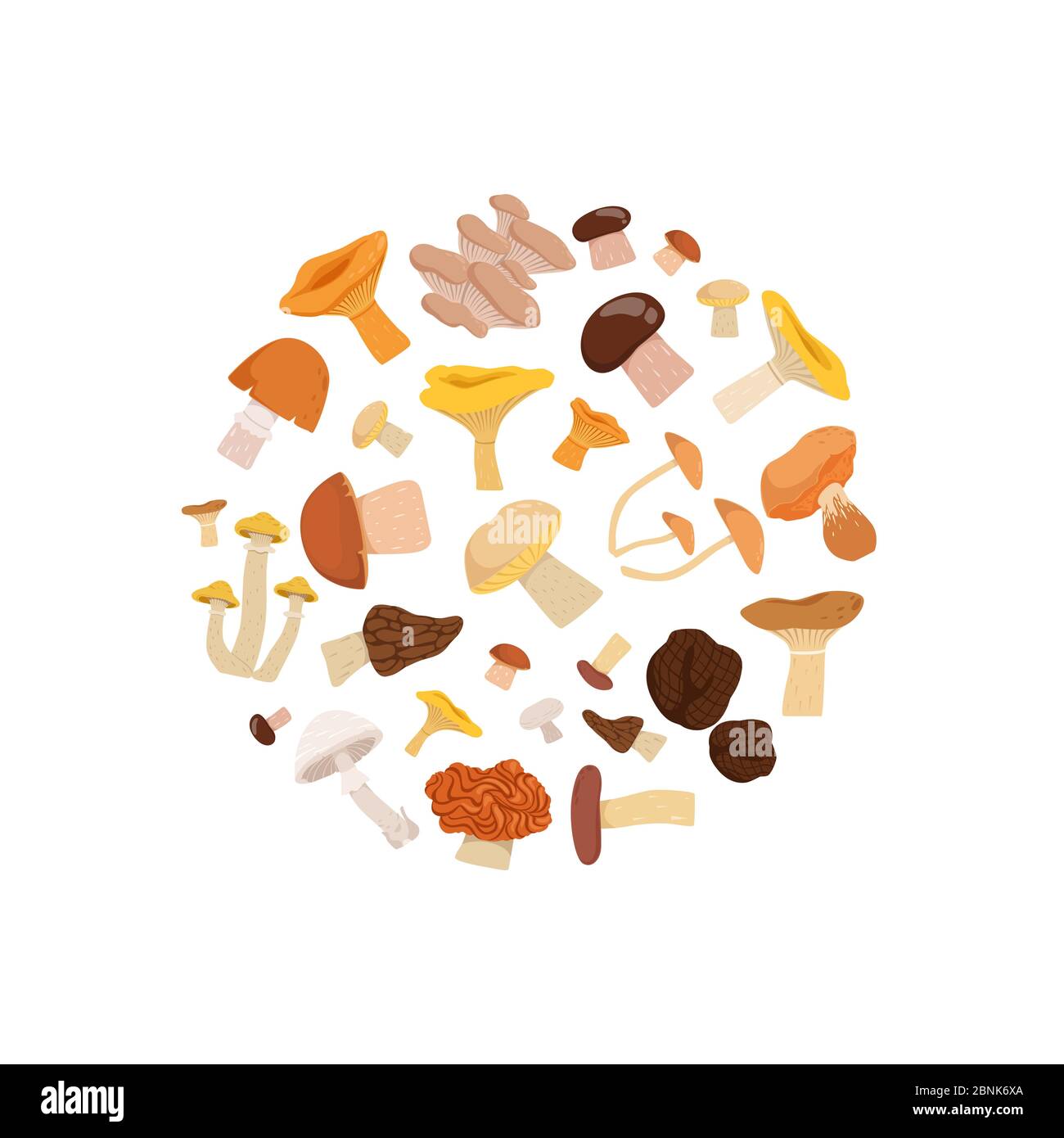 Vector cartoon mushrooms in circle illustration Stock Vector Image ...