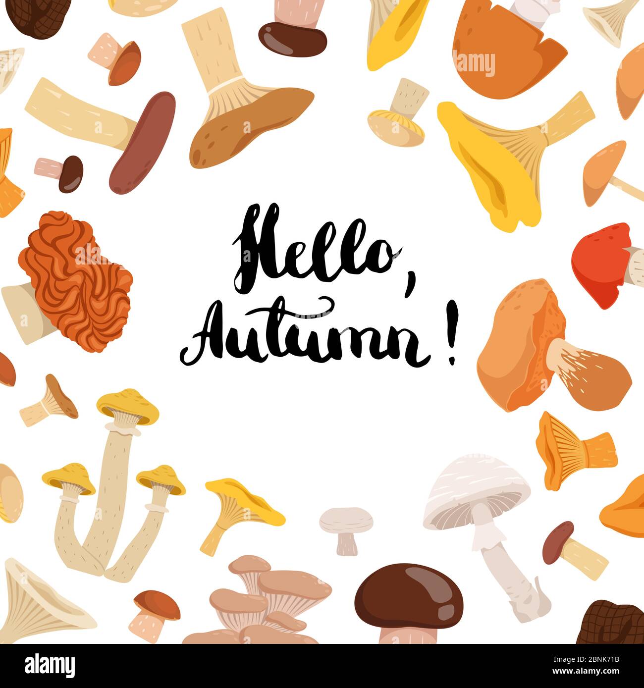 Cartoon mushrooms hi-res stock photography and images - Alamy