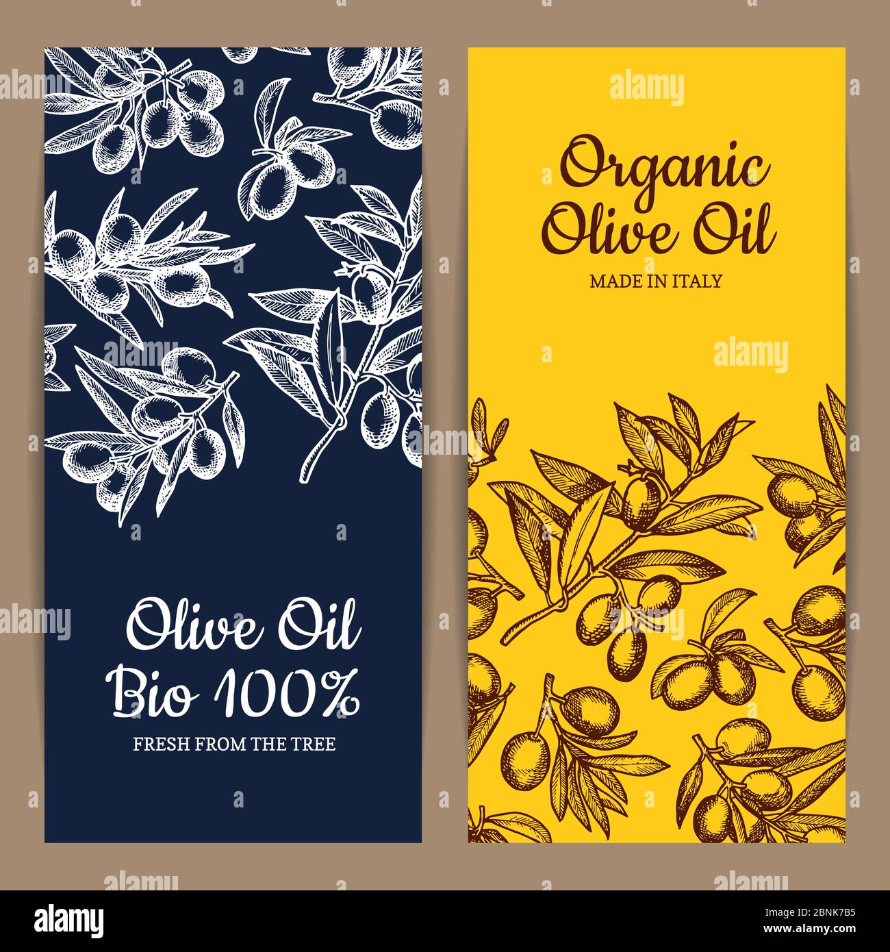Vector card or flyer template olive branches Stock Vector Image & Art ...
