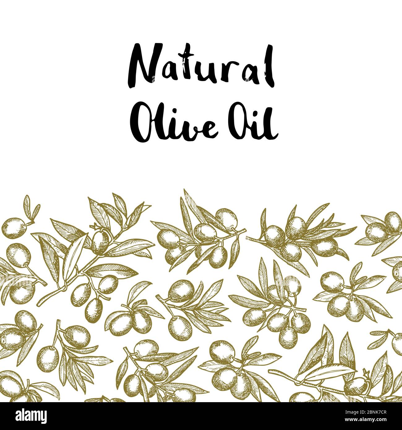 Vector hand drawn olive branches background Stock Vector Image & Art ...