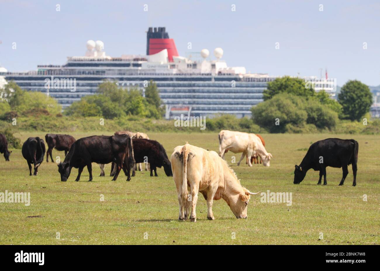 Dibden Bay on the New Forest waterside pictured with Southampton Docks ...