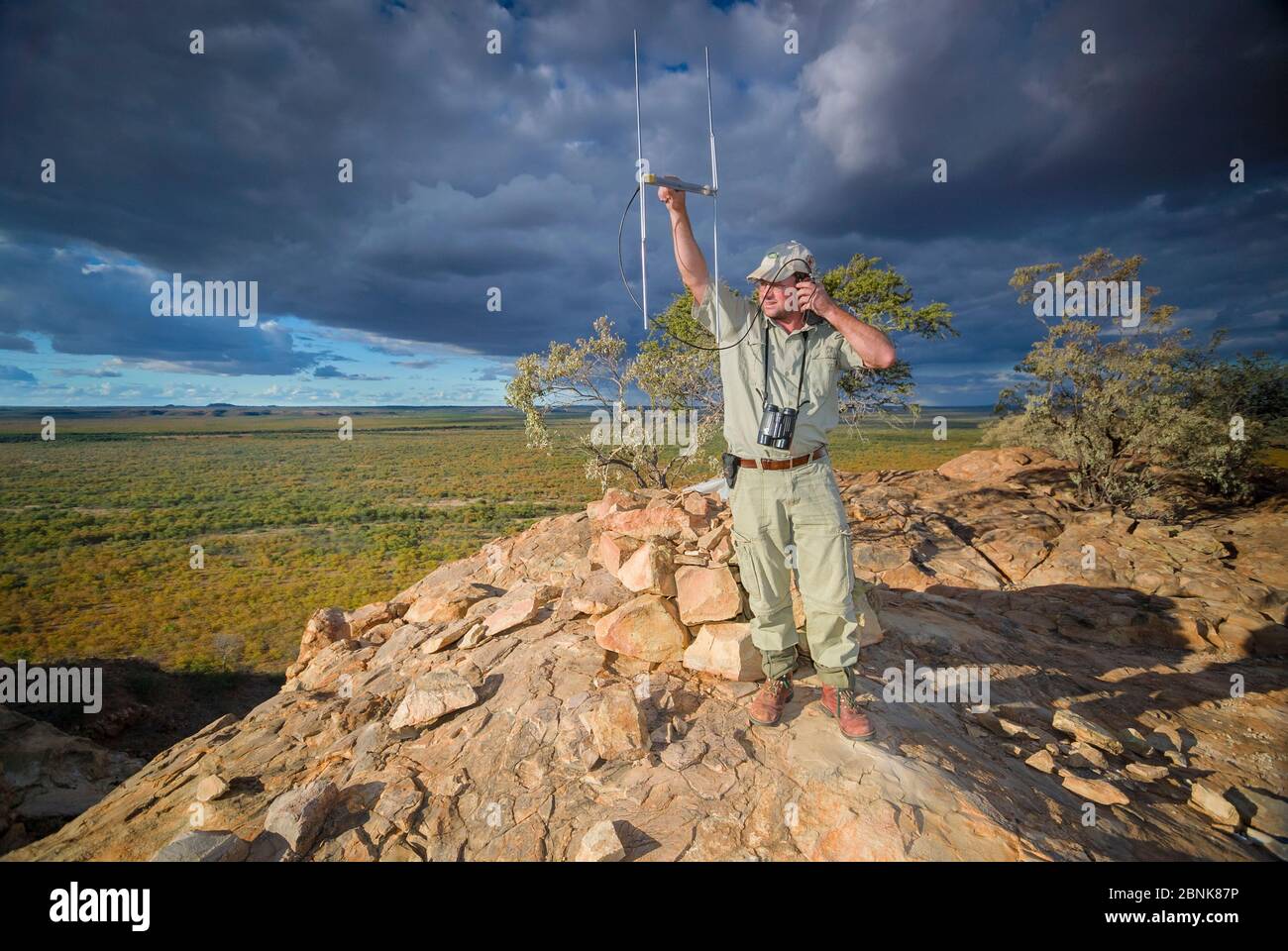 Wildlife radio tracking hi-res stock photography and images - Alamy
