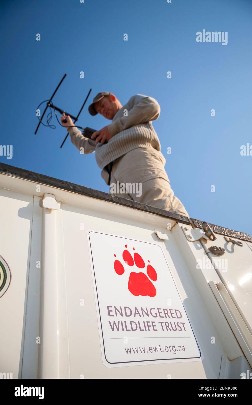 Animal tracking scientist hi-res stock photography and images - Alamy