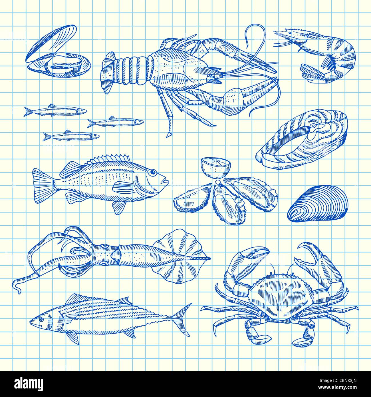 Vector hand drawn seafood elements set Stock Vector Image & Art - Alamy