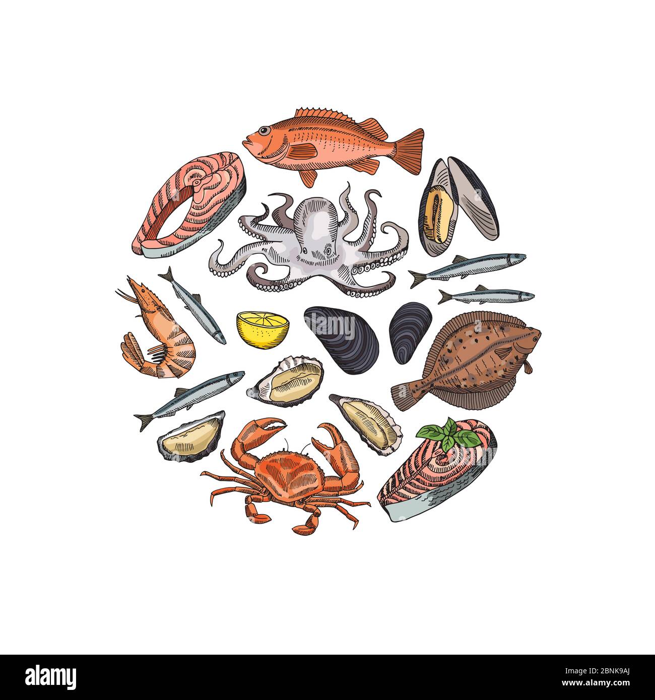 Vector hand drawn seafood elements in form of circle illustration Stock ...