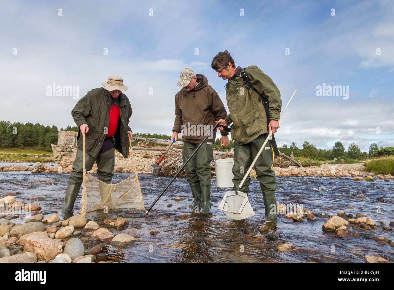 Atlantic salmon parr fish hi-res stock photography and images - Alamy