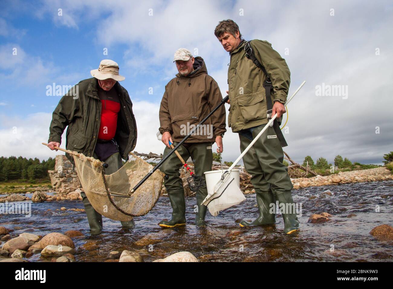 Atlantic salmon parr fish hi-res stock photography and images - Alamy