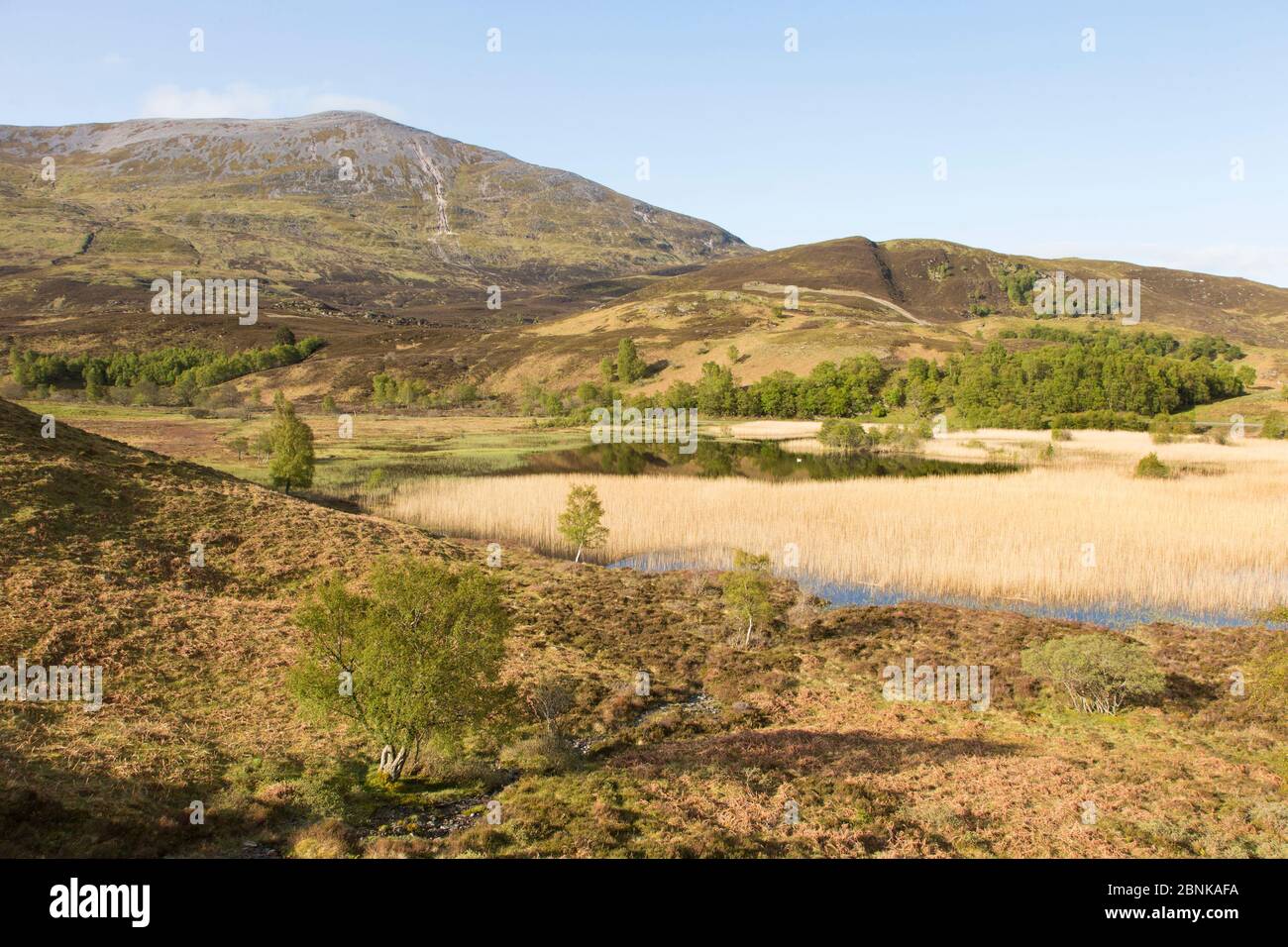Mark hamblin hi-res stock photography and images - Alamy