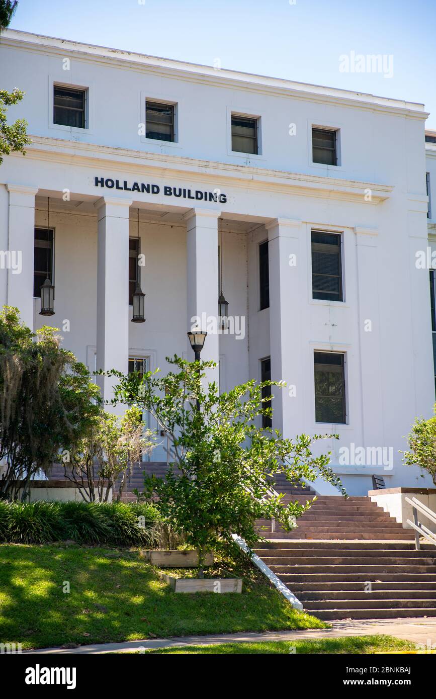 Photo Holland Building Tallahassee FL Stock Photo - Alamy
