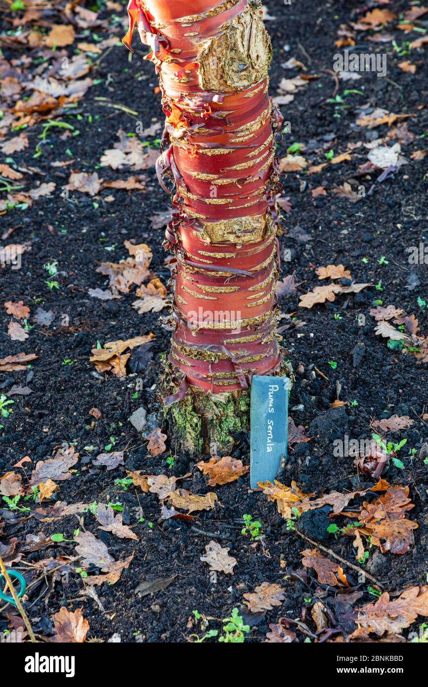 Broadview gardens hi-res stock photography and images - Alamy
