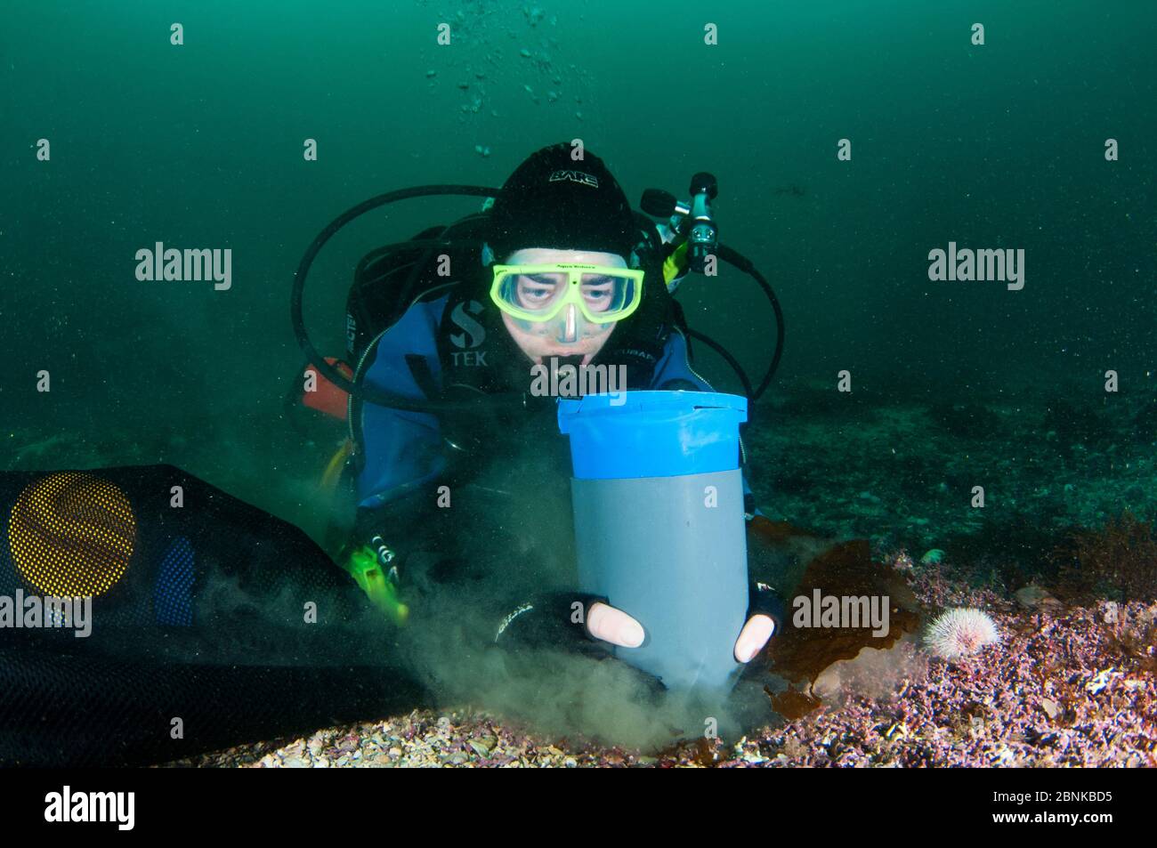 Scientists taking water samples hi-res stock photography and images - Alamy